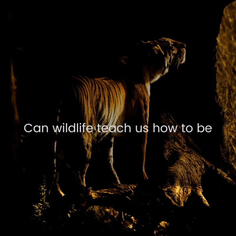 Experience Nature Immersive Sessions in Hyderabad